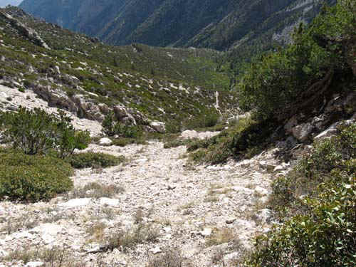 Pictures of Mt Keith, California