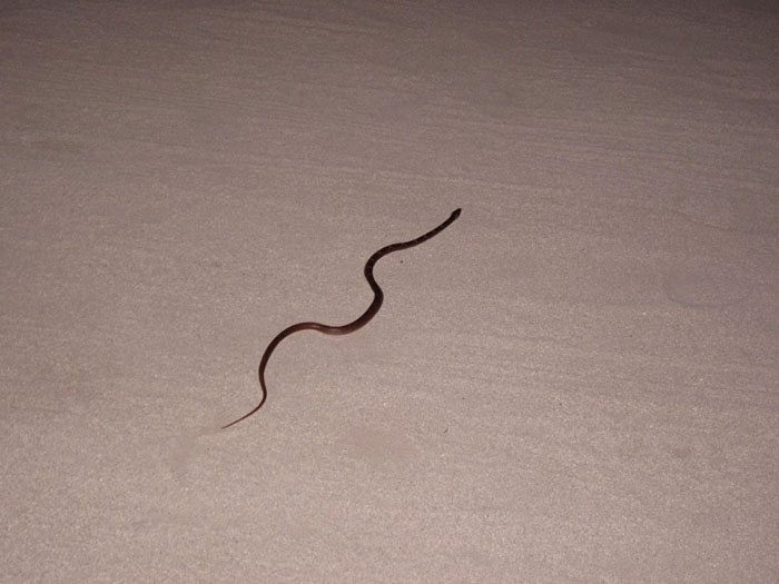 Pictures of Maldives